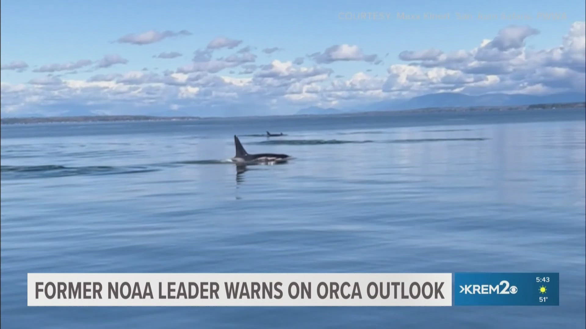 Former NOAA scientist warns on orca outlook