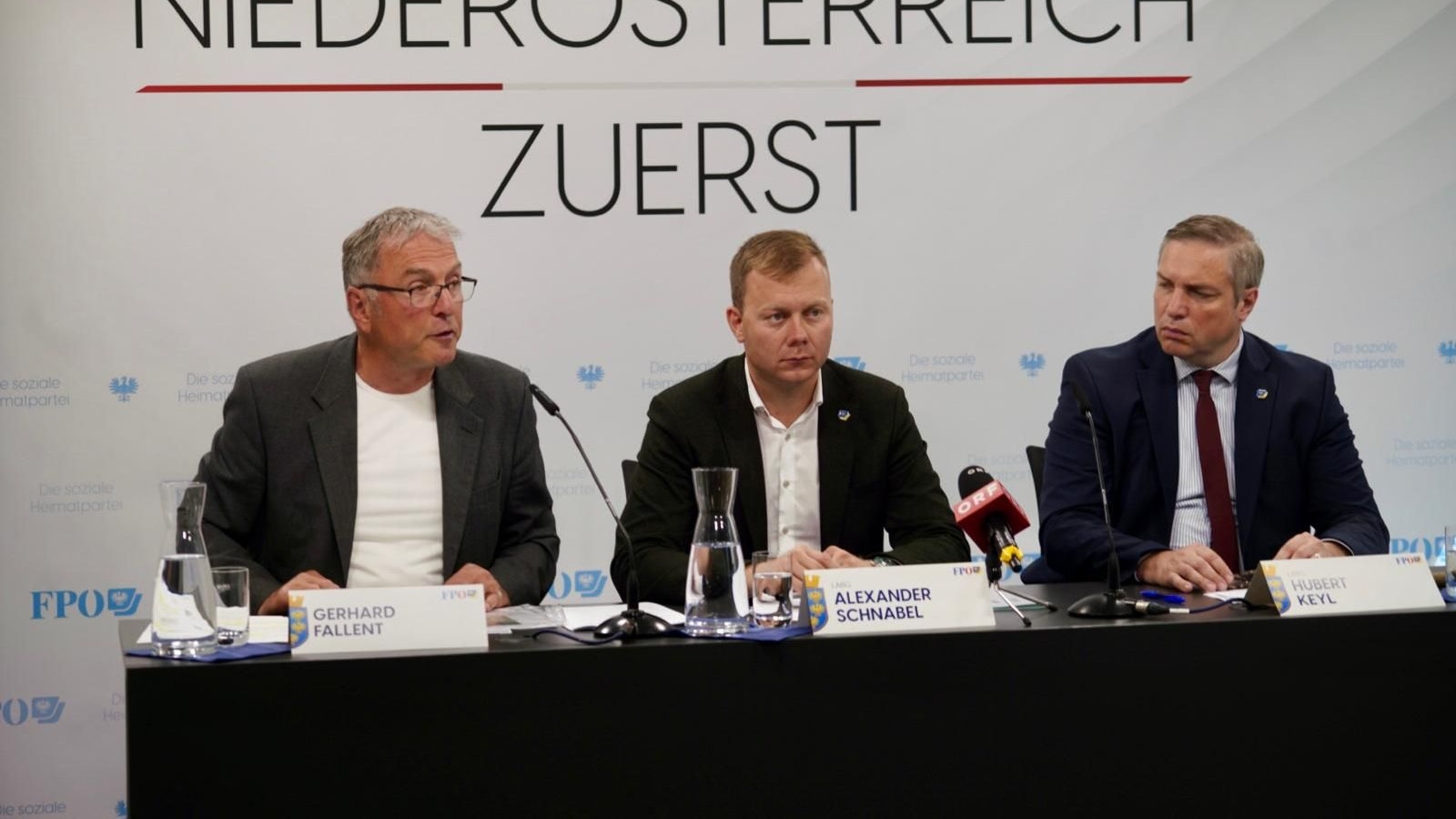 "Null Biss!" FPÖ fordert schärfere Wolfspolitik