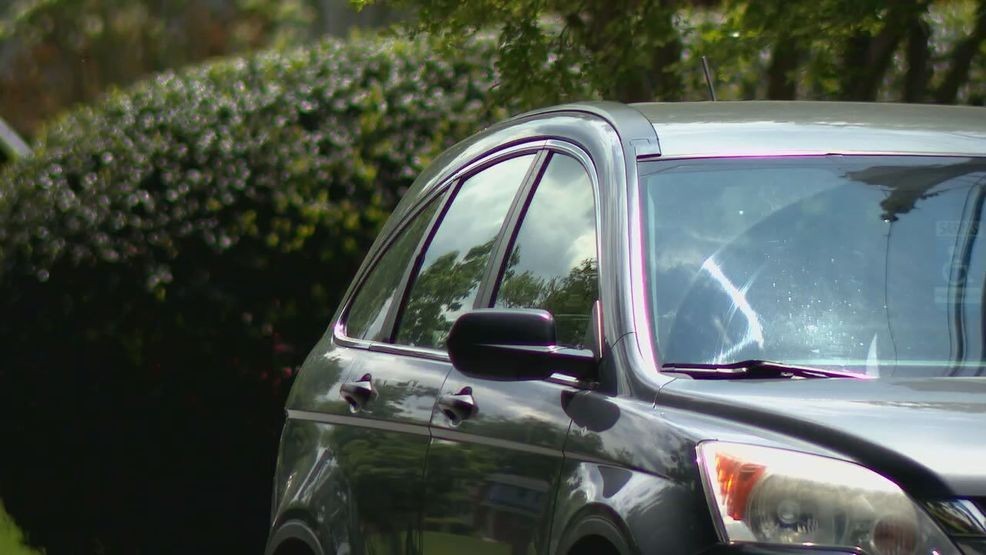 Check your backseat! Traffic Safety Committee offers car safety tips as ...