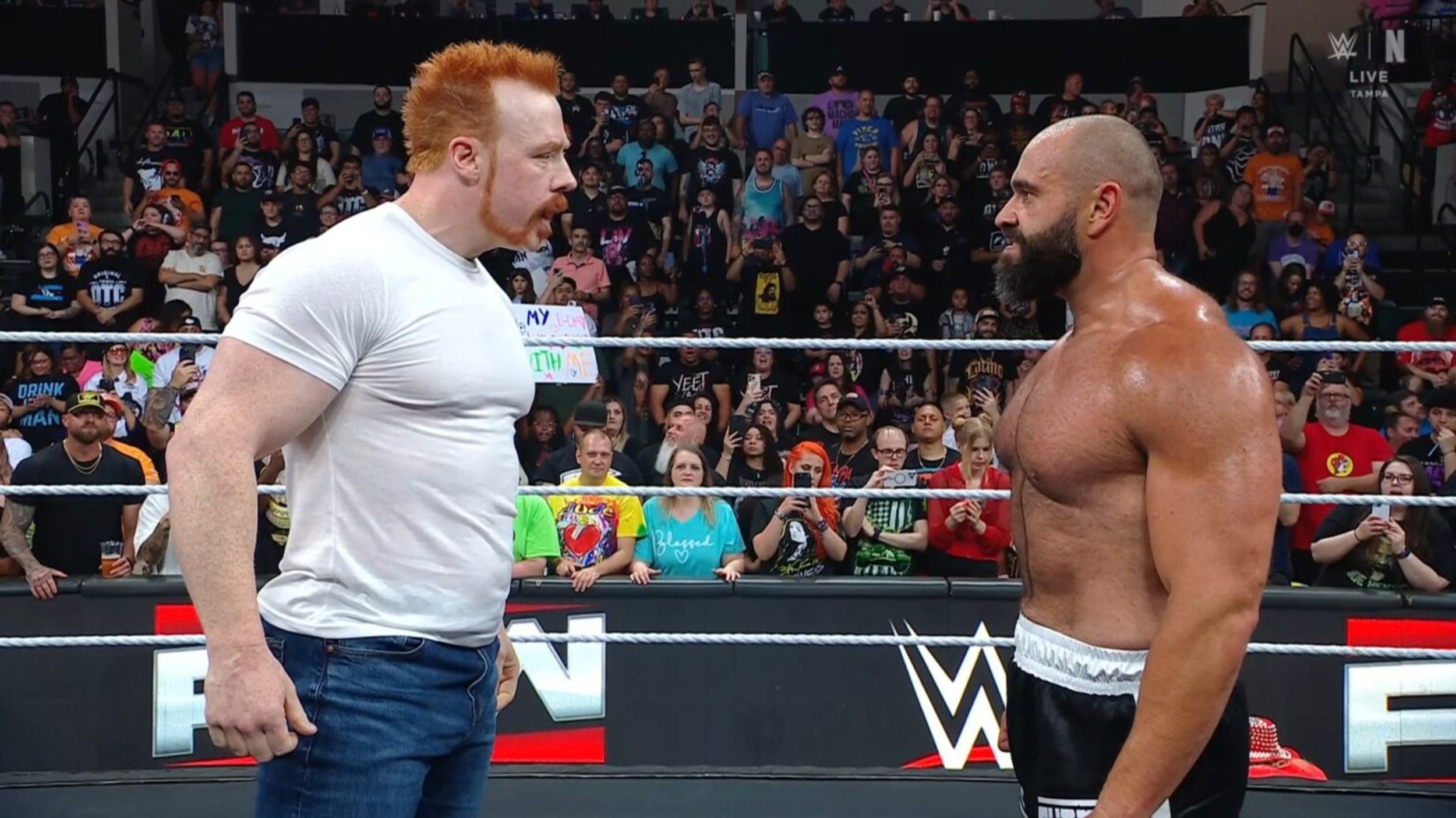 Why a Rusev and Sheamus Feud is a Good Move for WWE