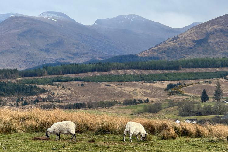 Whisky, Lochs and Luxury: Cruising Scotland’s Great Glen Aboard a ...