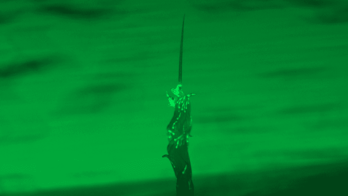 “We Captured Something No One Had Documented Before”: Wild Worm Towers ...