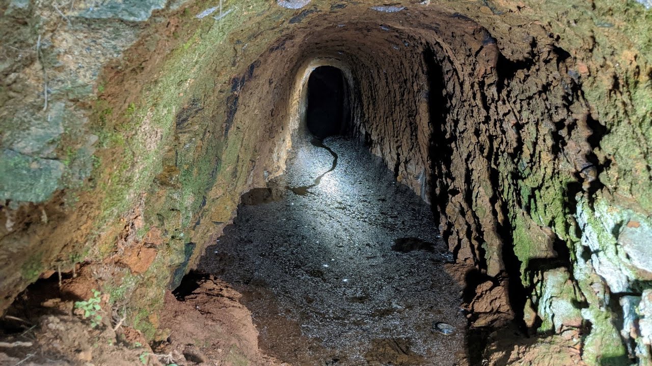 The Forgotten Gold Mines of North Georgia’s Dawson Forest