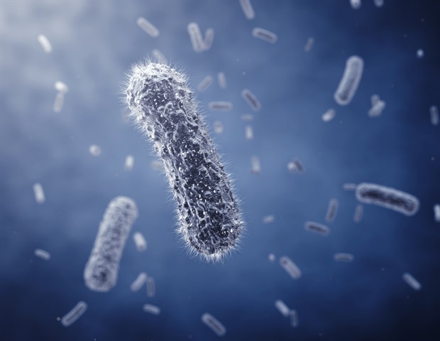 Cornell Unlocks Bacteria’s Power for Enhanced Rock Weathering