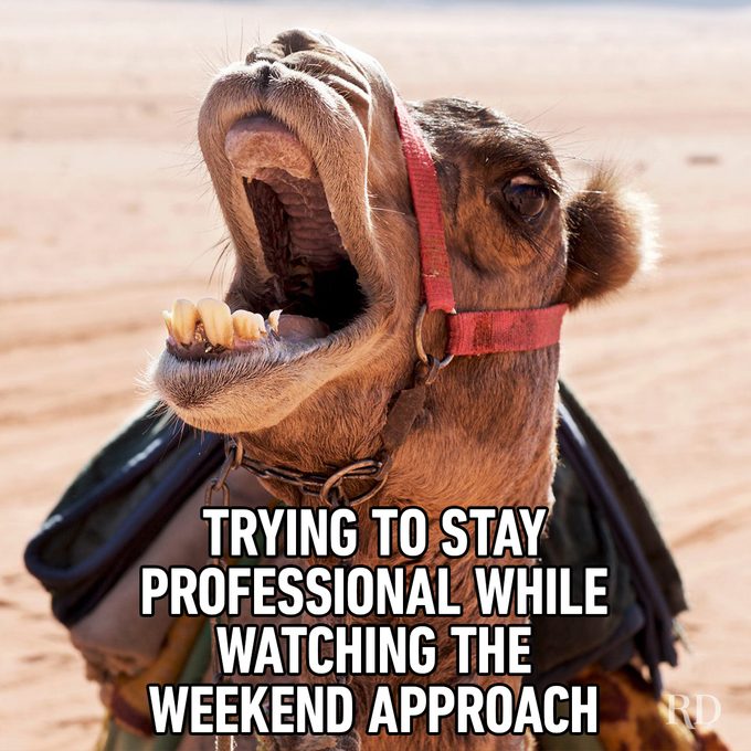 25 Hump Day Memes to Get You Through the Week