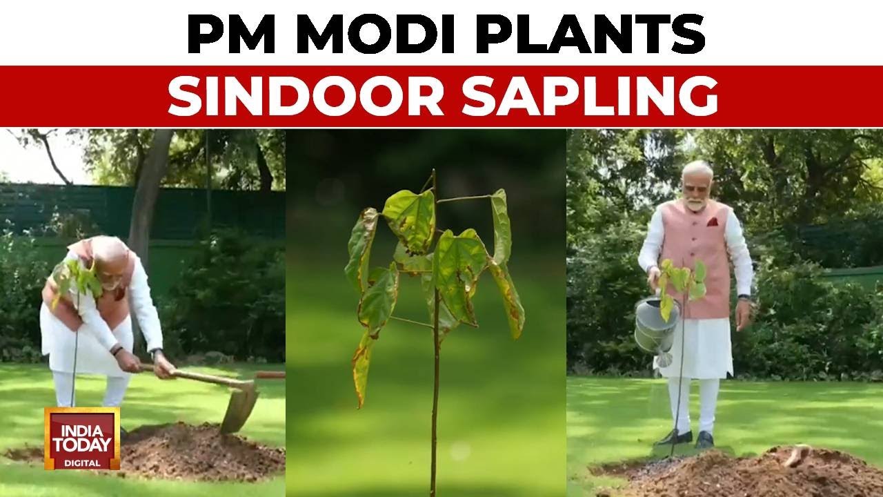 PM Modi plants Sindoor sapling at his residence on World Environment Day