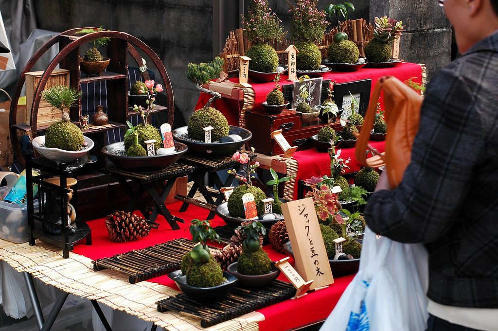 Glacier Mice: The Rolling Moss Balls That Move Across Ice on Their Own