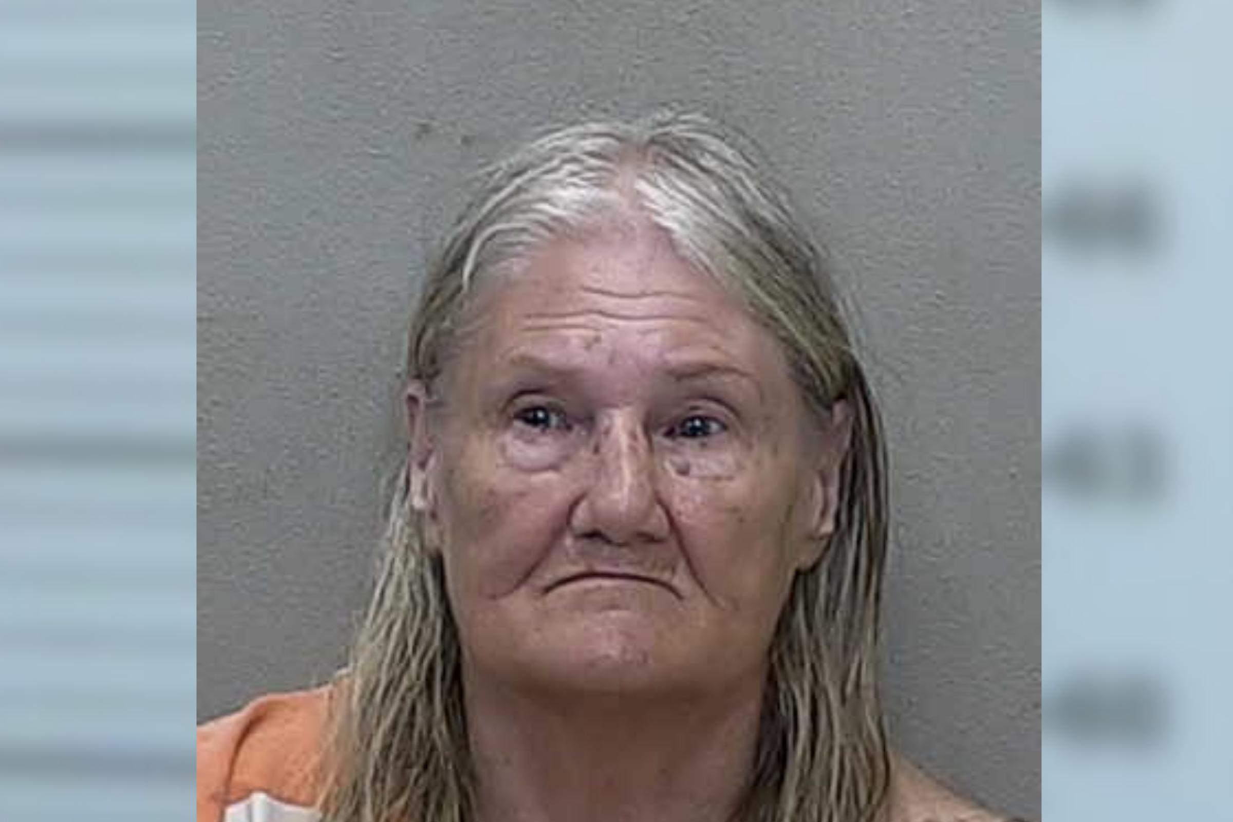 Florida woman uses bear mace on 3-year-old over blowing bubbles: Police