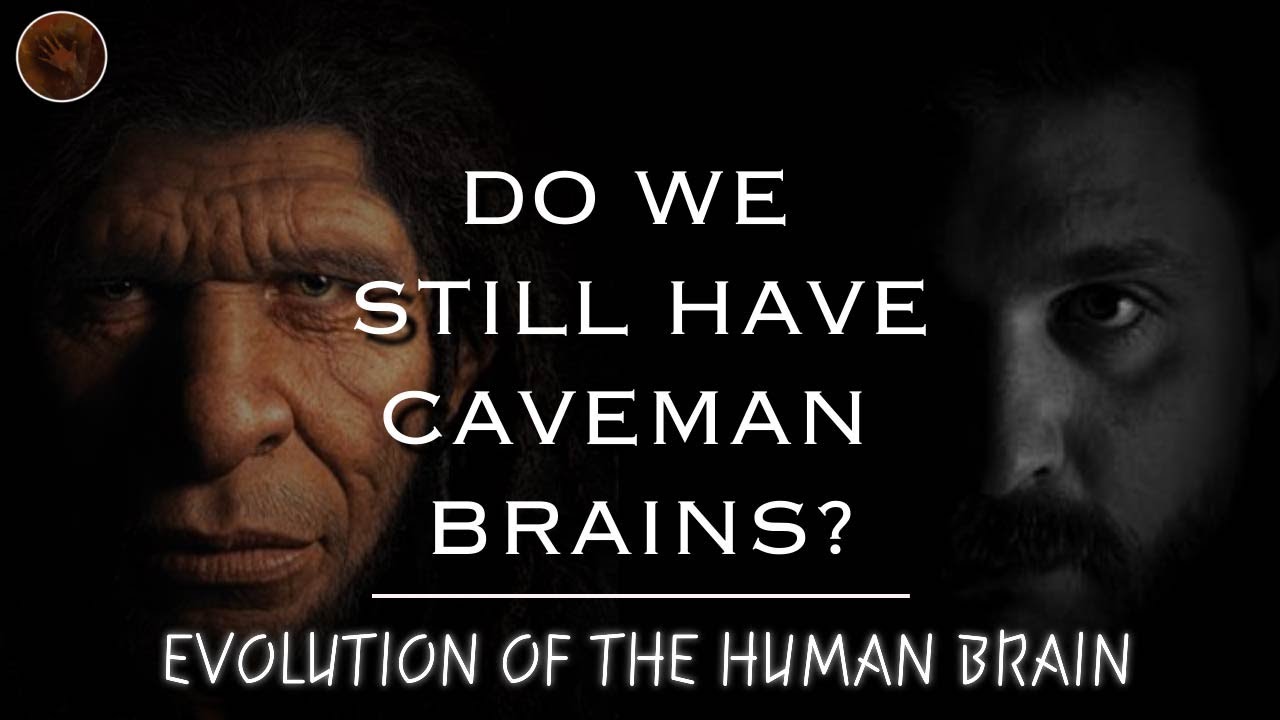 The Amazing Transformation of the Human Brain Through Time