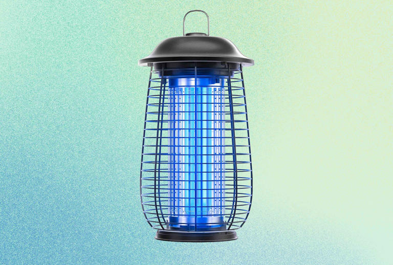 This $32 mosquito hack is way cheaper than calling the pros—and it's ...