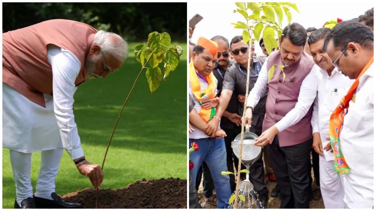 ‘Ek Ped Maa Ke Naam’: PM Modi, Chief Ministers Join National Tree Drive ...