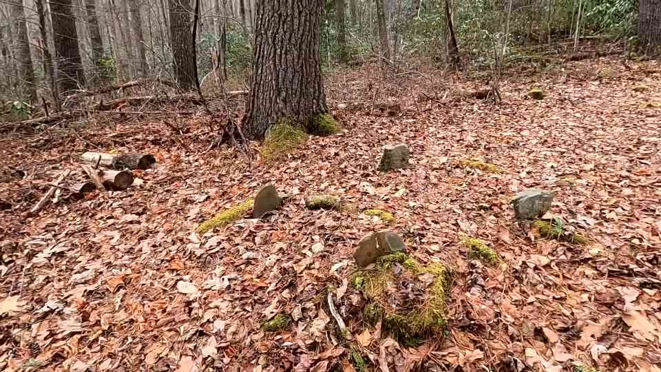 Children’s graves discovered in Great Smoky Mountains after 120 years