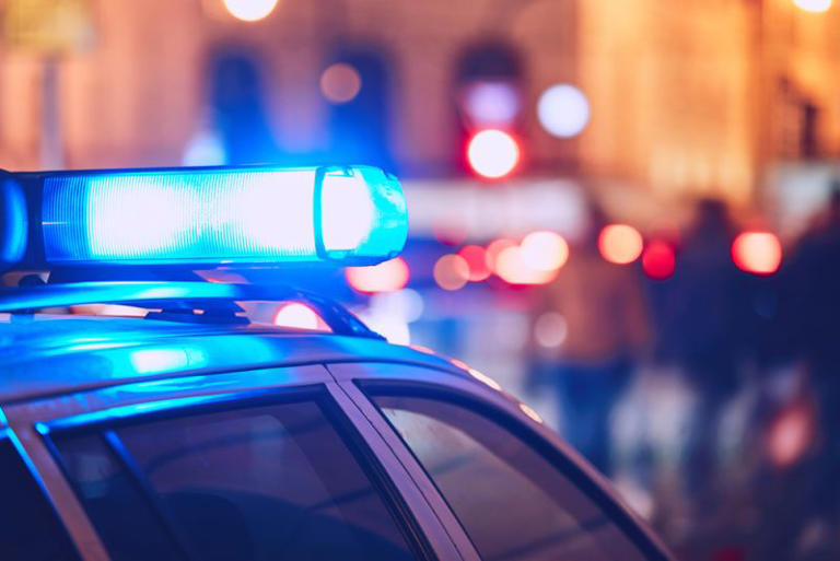 Teen Charged with Murder of Aunt, Uncle, and Grandmother in Tragic ...