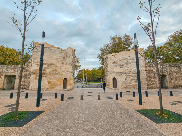Roman Ruins, A Grand Arena, and Streets That Charmed Van Gogh—This ...