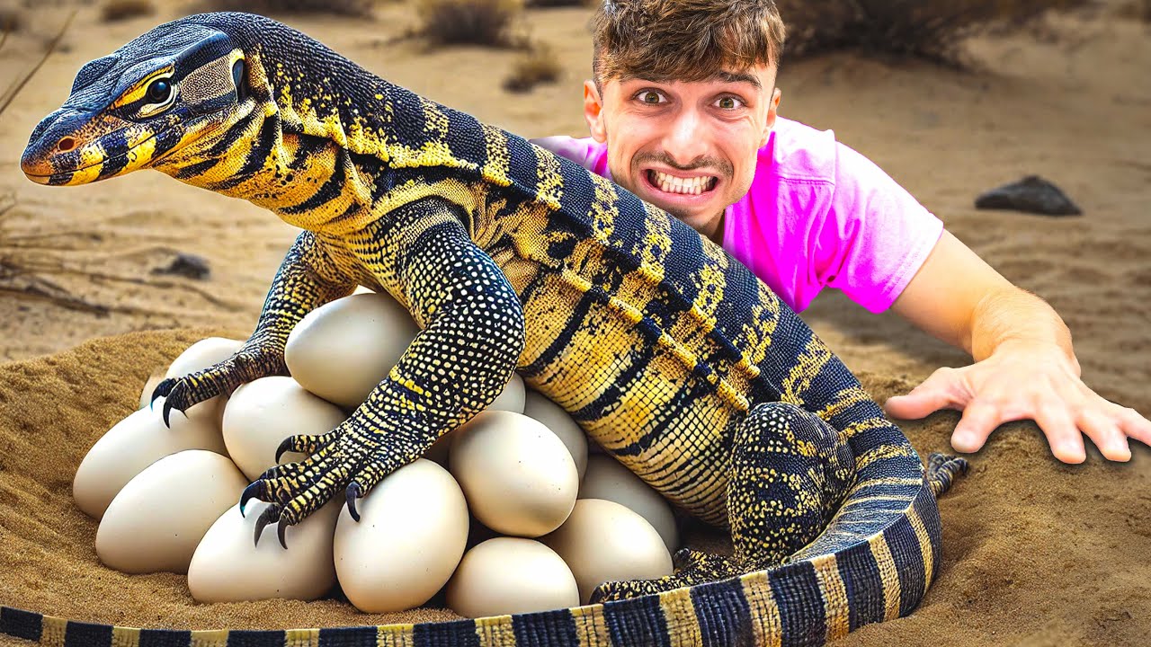 I Found My Male Lizard Giving Birth!