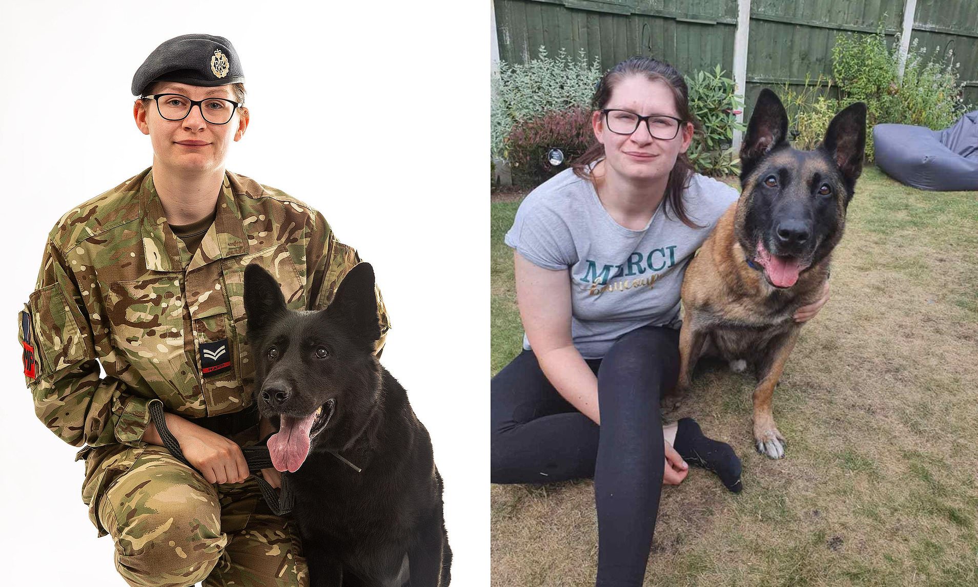Military investigates death of RAF dog handler who suffered 'serious ...