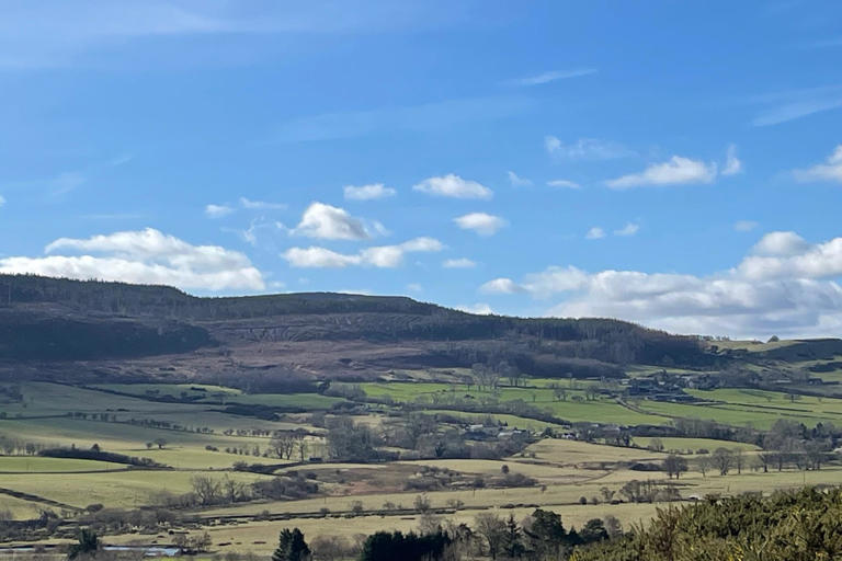 Plans for Simonside Estate to be discussed as part of Earth Matters ...