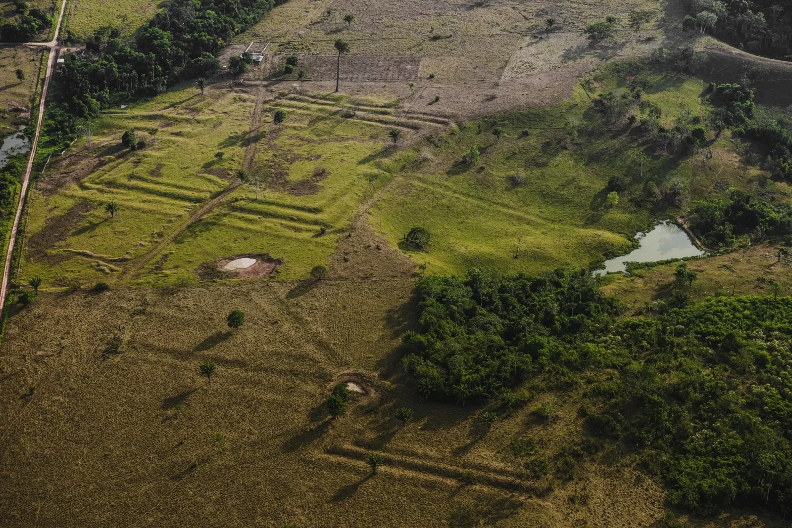 Researchers uncover ancient network of cities hidden in the Amazon ...