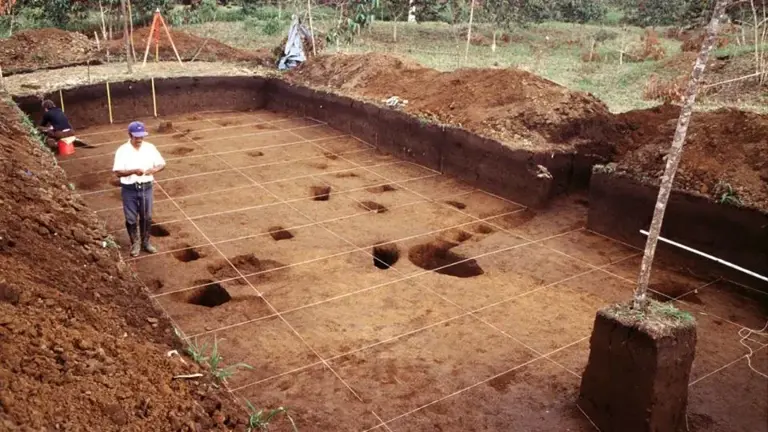 Researchers uncover ancient network of cities hidden in the Amazon ...