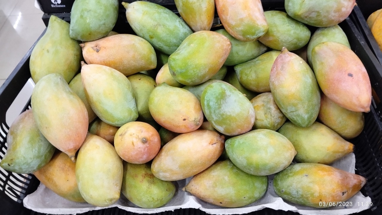 Andhra Pradesh explains ban on import of Totapuri mango from Karnataka