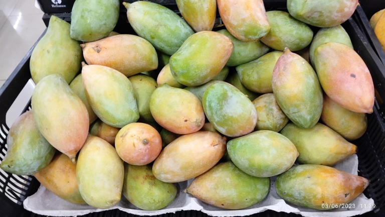 Andhra Pradesh explains ban on import of Totapuri mango from Karnataka