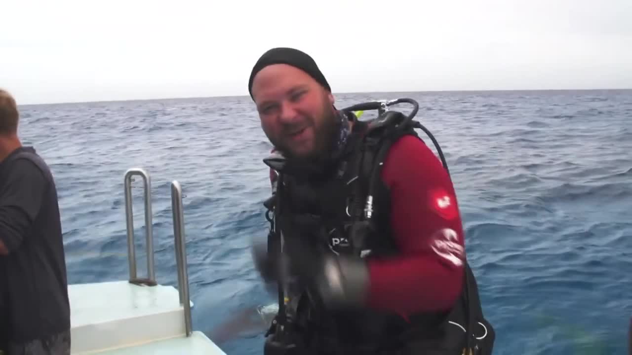 Shark TV - SharkSchool Diving Expedition with proWin-pro nature and ...