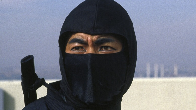 Wild Stories From Ninja Films That Are Actually True