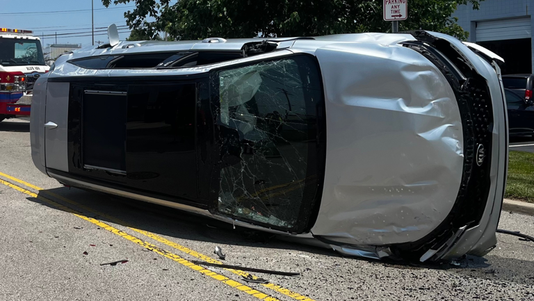 Cicada flies into car window, causing driver to lose control, crash ...
