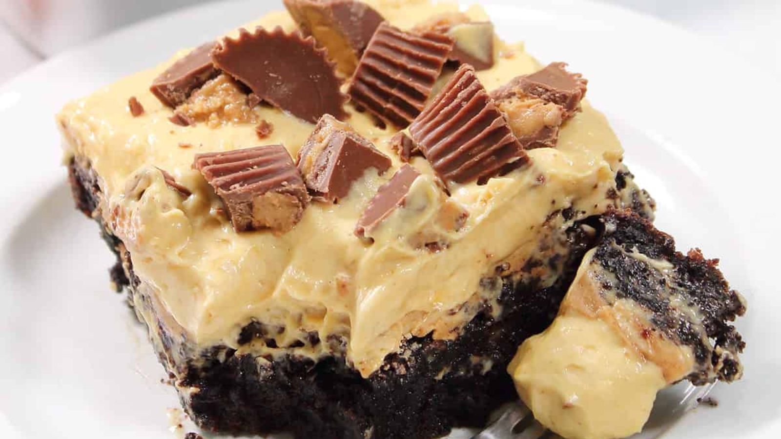 16 decadent chocolate peanut butter desserts for your sweet tooth