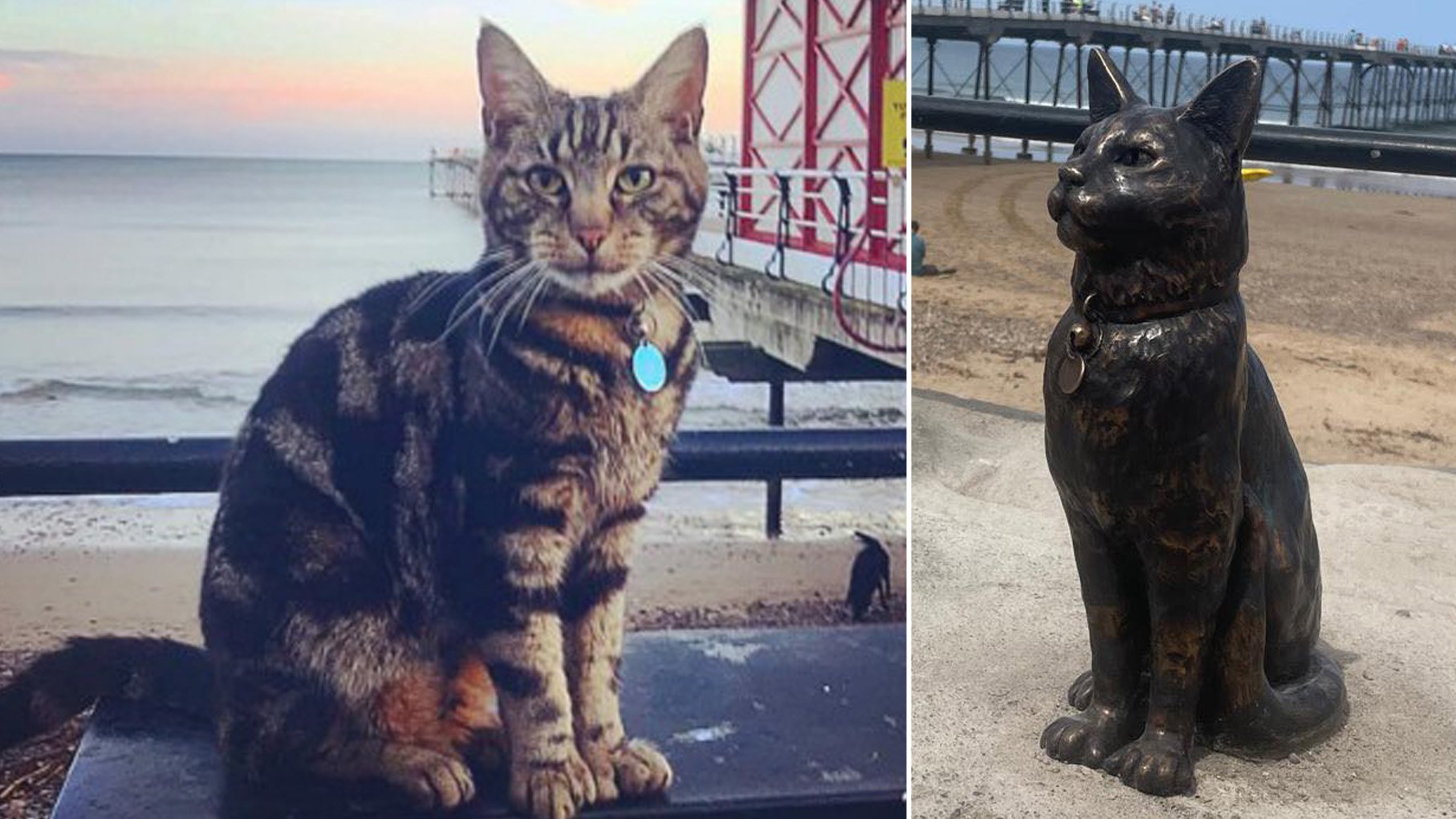 Saltburn honours adventurous cat Hendrix with statue