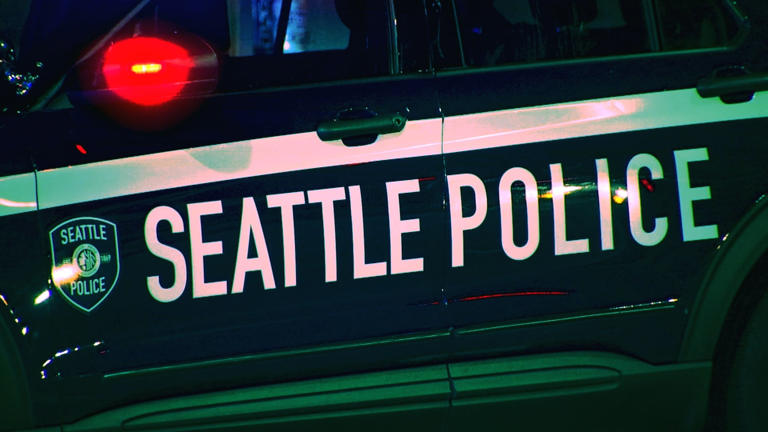 Stay away! One person shot, Seattle police actively look for gunman