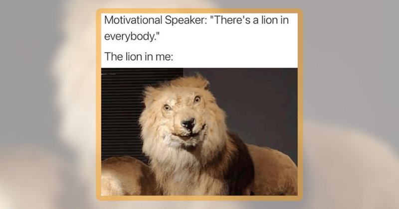 21 Big Cat Memes for People Who Need Roaring Meowtivation Today
