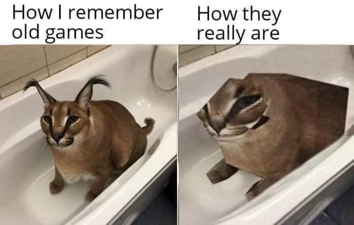 21 Big Cat Memes for People Who Need Roaring Meowtivation Today