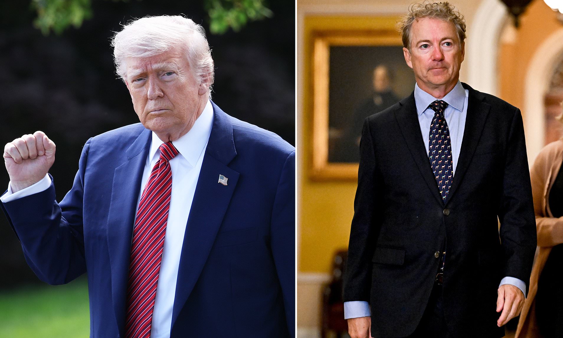 REVEALED: Trump's four-word troll of Republican against Big Beautiful ...