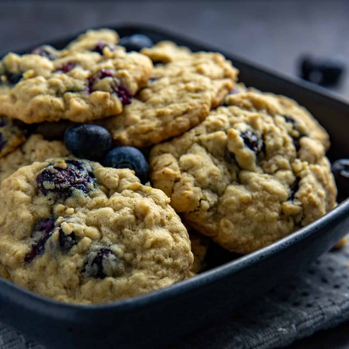 Homestyle Blueberry Oatmeal Cookies