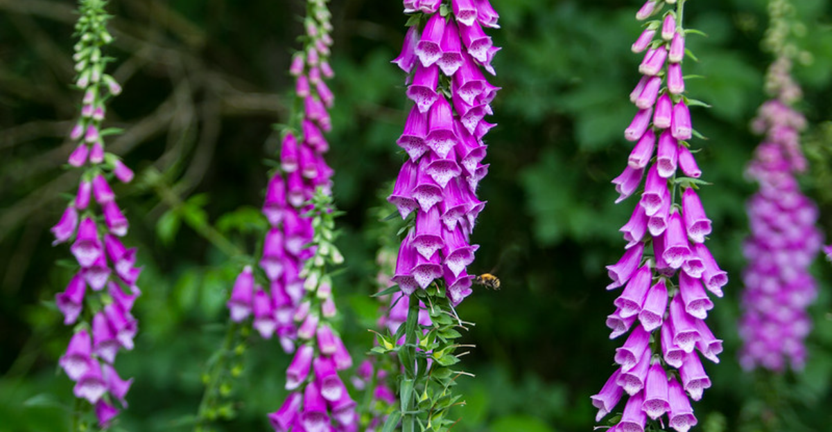 20 Stunning Tall Outdoor Plants to Elevate Your Landscape
