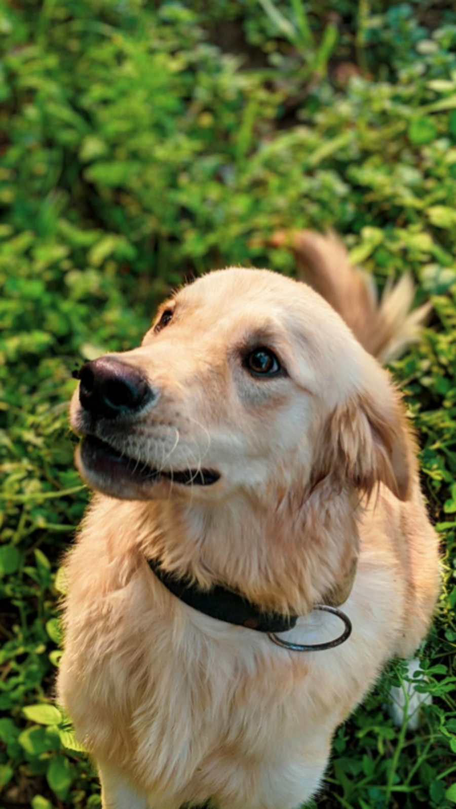 20 Religious Garments That Reflect Culture and Devotion