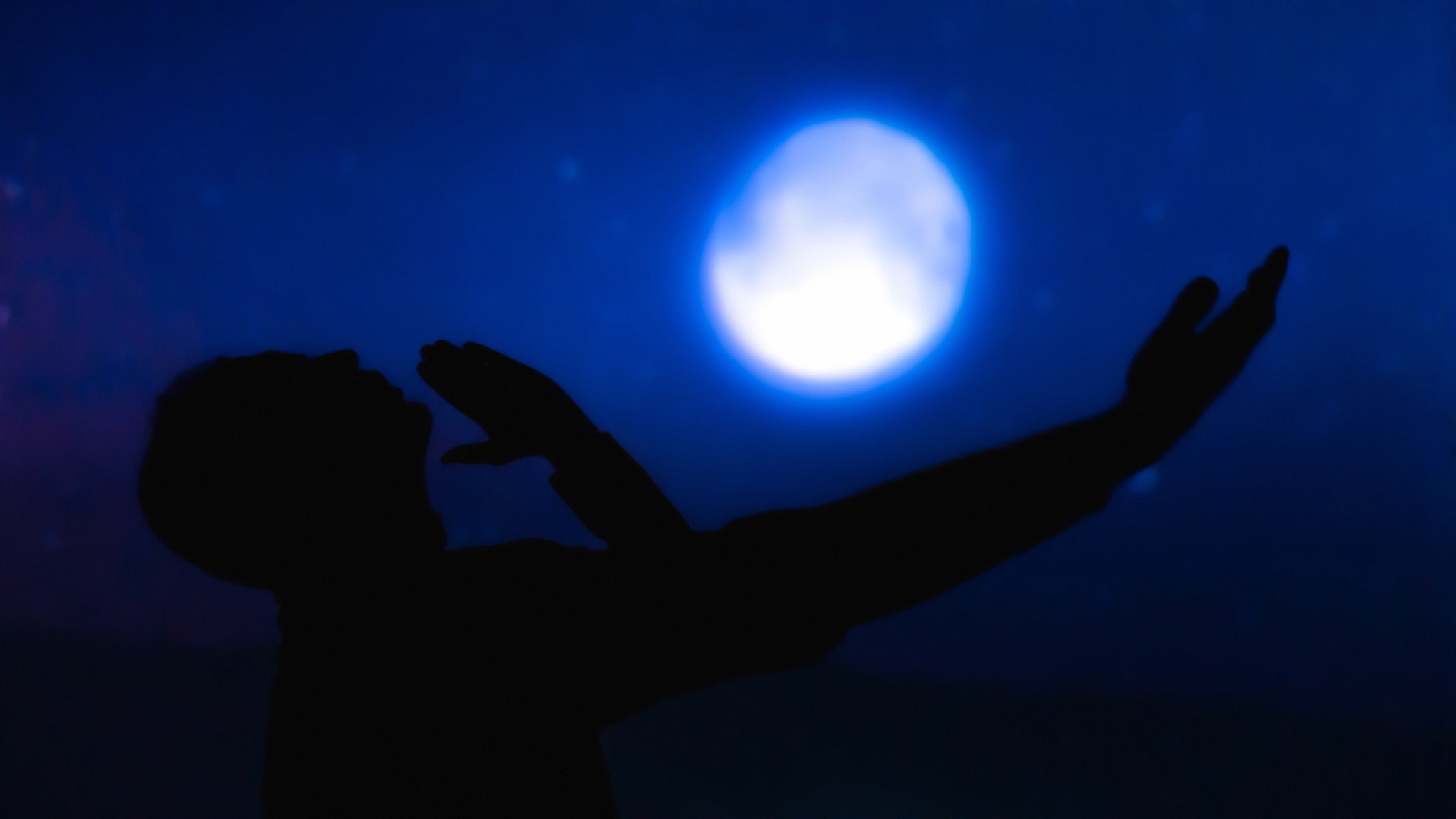Does a Full Moon really trigger strange behavior?