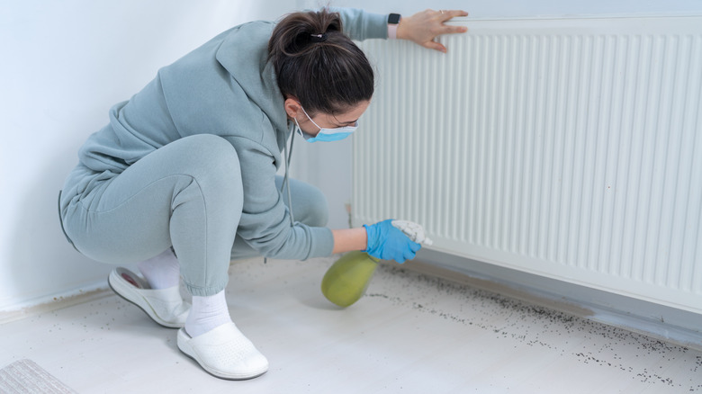 Popular Pest Removal Hacks That Don't Actually Work (And What To Try ...