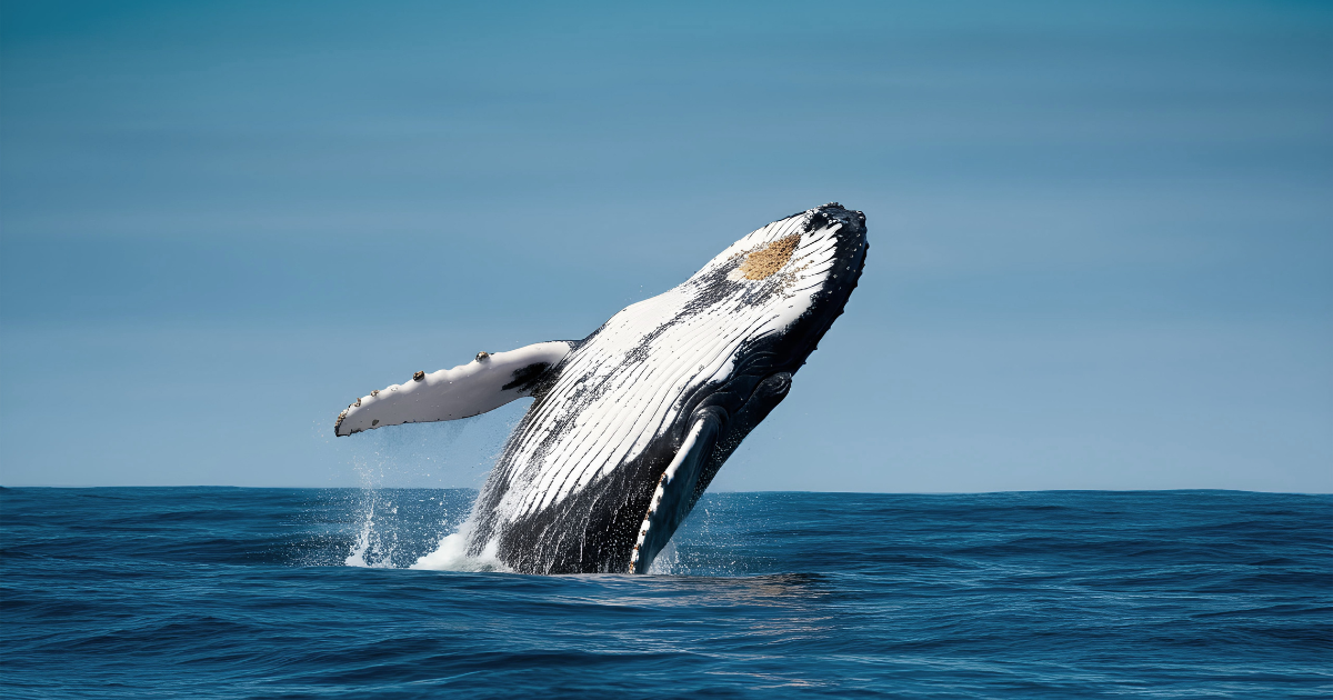 Study Looks At The Rare Evolution That Took The Ancestors Of Mammals ...