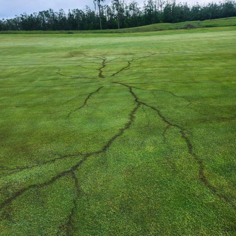 Lightning strikes a Michigan golf course. See the stunning burn marks ...