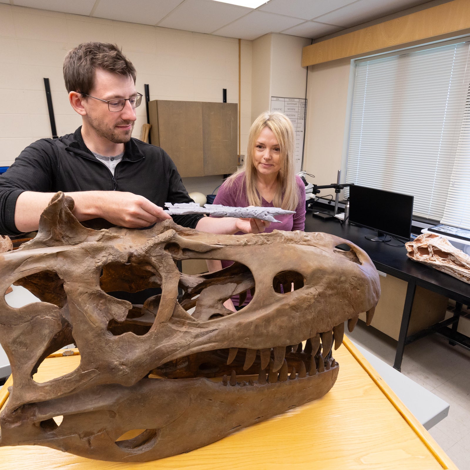 This T. rex ancestor is "missing link" to apex predators, scientists say