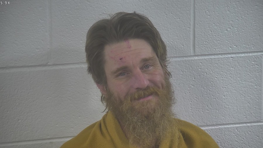 Kentucky man got banned from a bar, so he let a raccoon loose inside ...