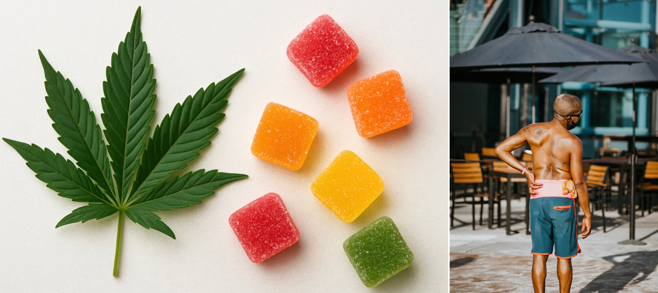 Best Cbd Gummies For Pain Relief In 2025