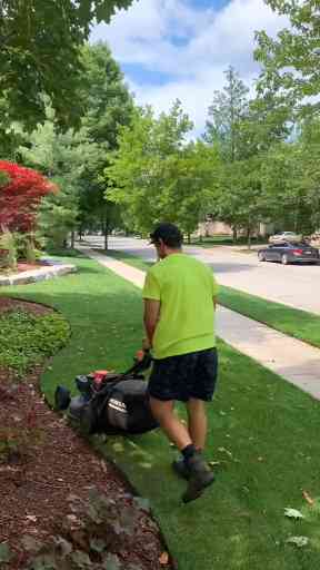 How to Revive a Dead Lawn Step by Step
