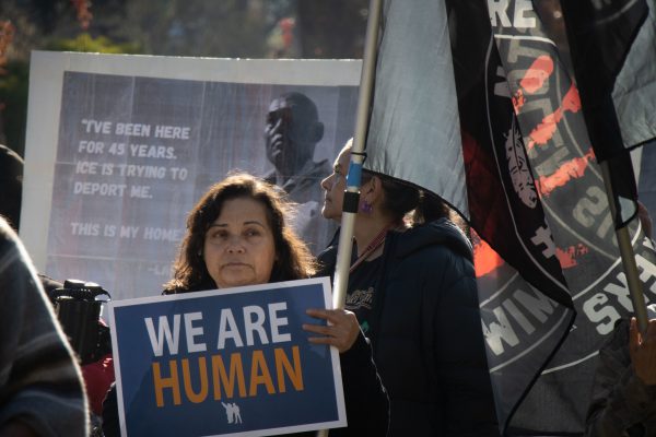 Federal judge halts Trump’s ‘arbitrary and capricious’ immigration ...