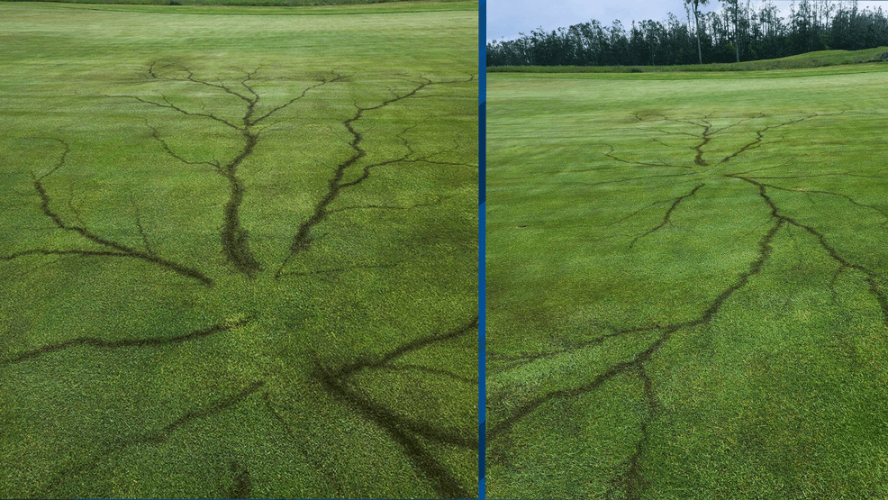 Lightning strike leaves mark on Smith Tradition golf course at Treetops ...