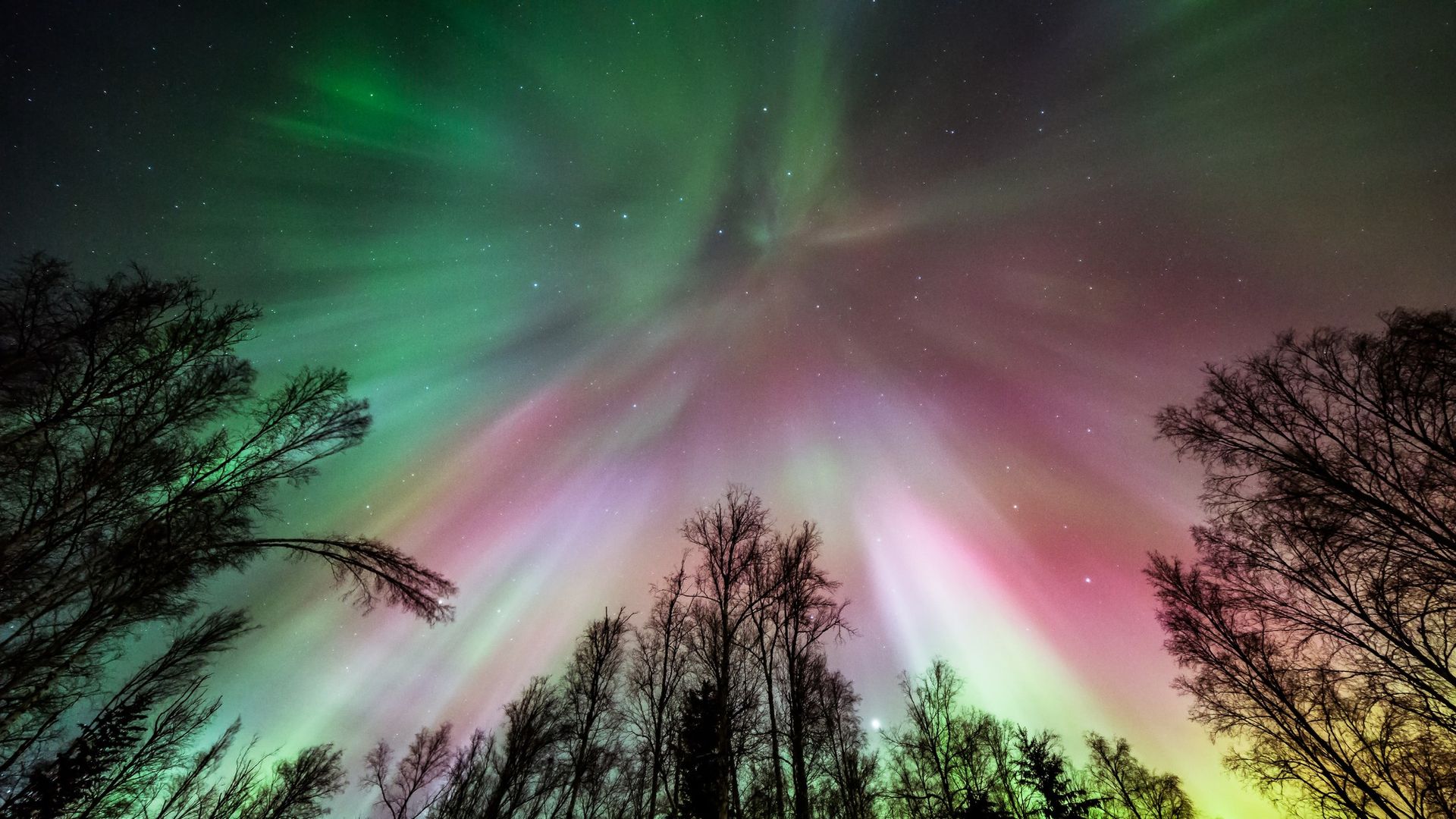 Aurora alert! Moderate geomagnetic storm could spark northern lights as ...
