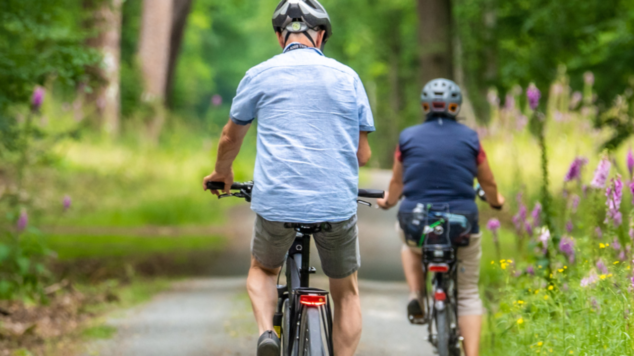 Biking Can Help Your Brain Stay Young - Study Finds Biking To Reduce ...