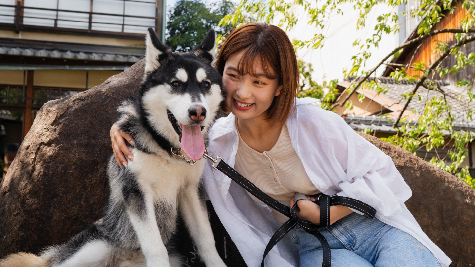 When dogs replace cradles: this is what this astonishing Japanese ...